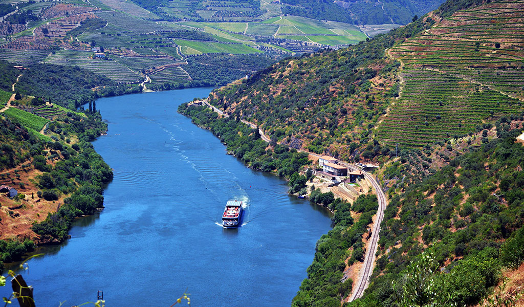 Discover the Douro region - Quinta de Merouço