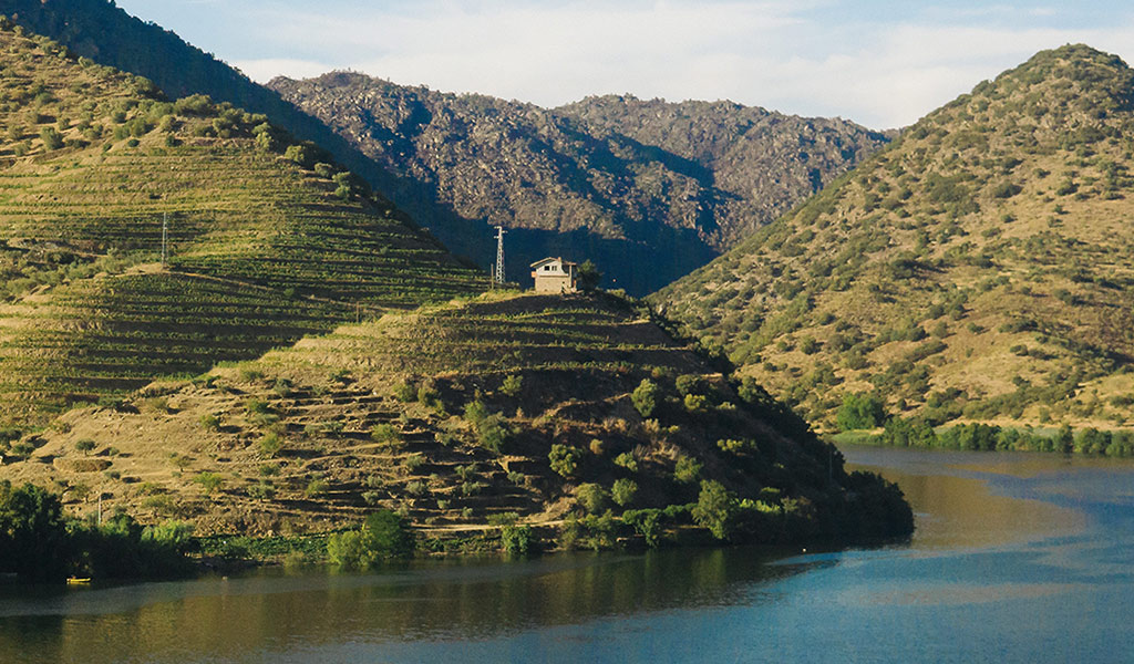 Discover the Douro region - Quinta de Merouço